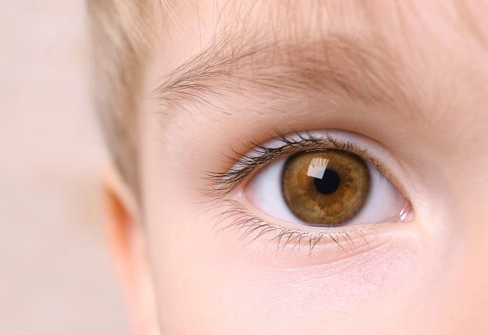 Child/Student Eye Examinations - Goldwyn Opticians : Goldwyn Opticians